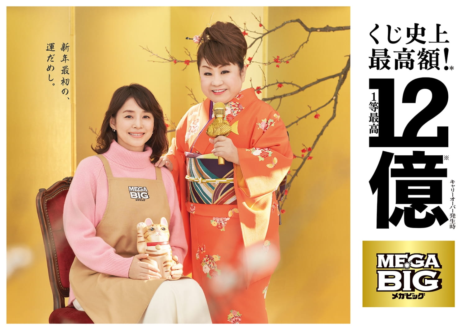 【公式】MEGA BIG(メガビッグ)｜くじ史上最高額 1等最高12億円のチャンス！